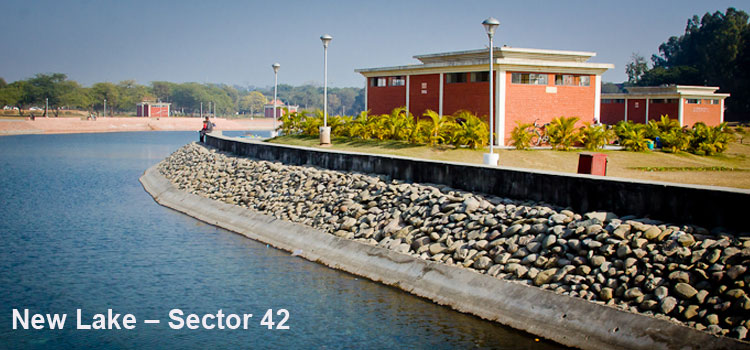New Lake – Sector 42